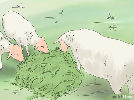 How To Breed Sheep 15 Steps With Pictures WikiHow