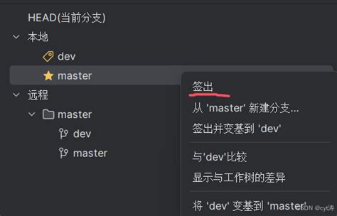 dev分支部分记录合并到主分支 在dev分支提交了代码合并到主分支 csdn博客