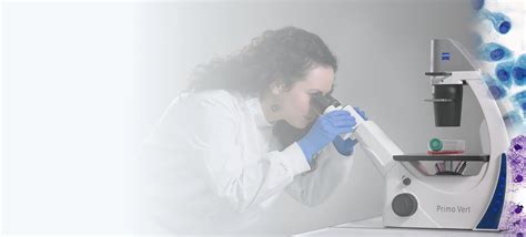 Innovative Cancer Therapies