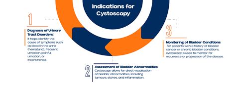 Cystoscopy Treatment In India Tah Global Healthcare