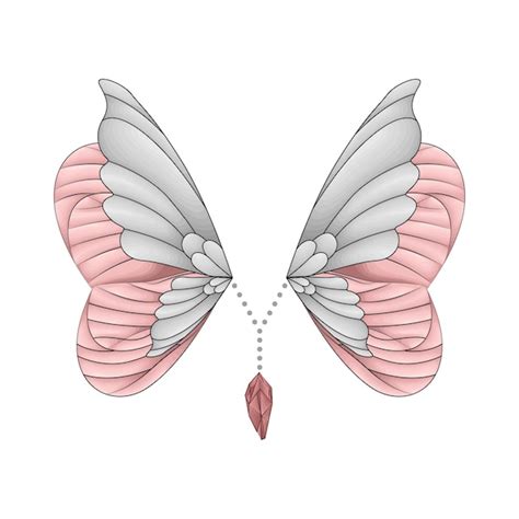 Premium Vector Illustration Of Wing