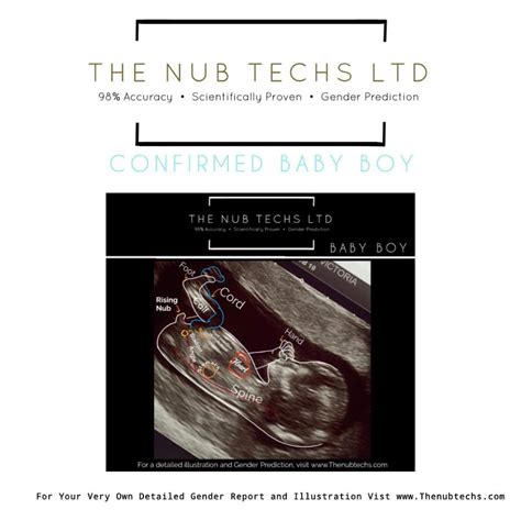 Nub Theory Early Gender 12 Weeks Pregnant The Nub Theory Explained