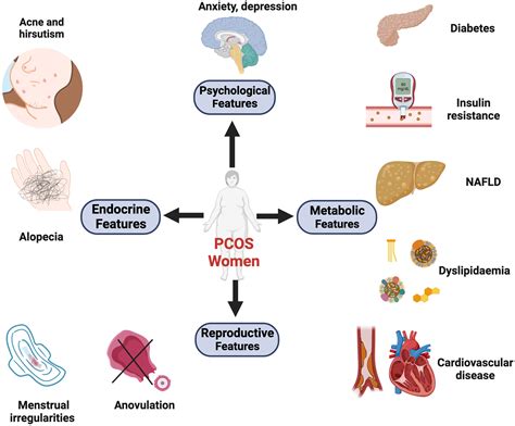 Frontiers Androgen Excess A Hallmark Of Polycystic Ovary Syndrome