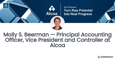 Molly S Beerman — Principal Accounting Officer Vice President And