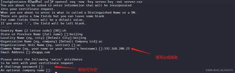 利用openssl生成自签名ssl证书以及nginx配置 openssl genrsa des3 out server key 1024