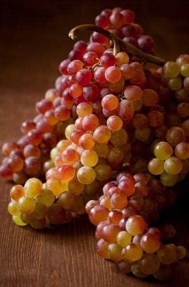 "Короткие лозы — крупные грозди | Grapes, Fruit and veg, Exotic fruit