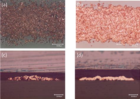 Figure 1 From Development Of A Printing Plus Plating Method For A Low Resistant Cu Metallization