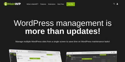 Mainwp Page Speed Extension Pluginizer