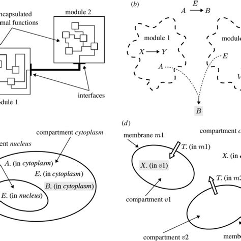 Modularity Inference And Identity A Engineering Modularity Exposes Download Scientific