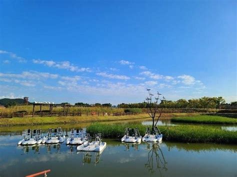 수상한 자전거 뉴스트림