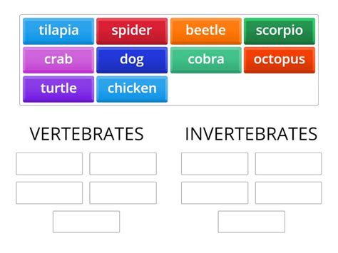 Classify Me Group Sort