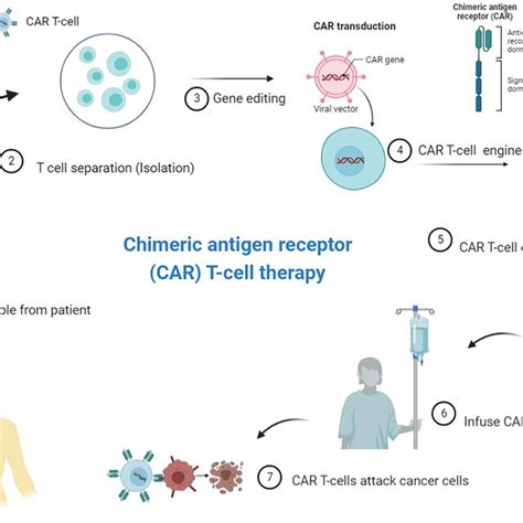 Active And Passive Immunotherapy Strategies In Colorectal Cancer The