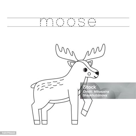 글자를 추적하고 만화 무스를 색칠하십시오 아이들을 위한 필기 연습 교육에 대한 스톡 벡터 아트 및 기타 이미지 교육 귀여운 목재 재료 Istock