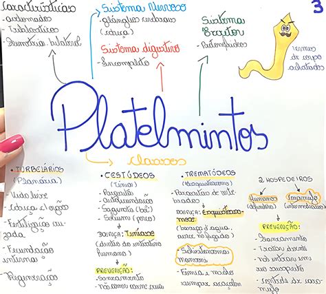 Mapa Mental Sobre Platelmintos Maps4study