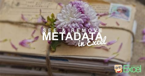 Metadata In Excel 6 Methods Of How To See And Remove All Meta Data