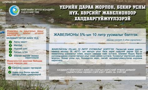 Бохирдсон хөрсөө өөрөө хэрхэн ариутгах вэ