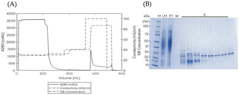 Hiscale Sp Sepharose Fast Flow Chromatogram A And Sds Page Analysis