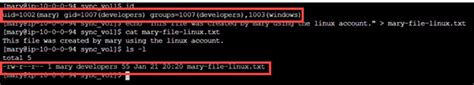 Sharing Data On Amazon Fsx For Openzfs Across Linux And Windows Clients