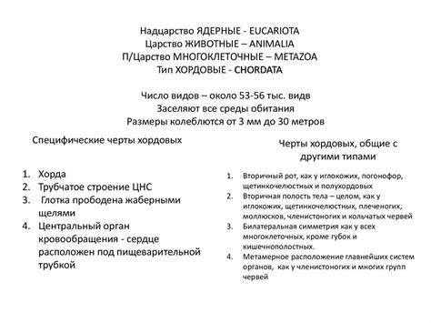 Зоология позвоночных - презентация онлайн