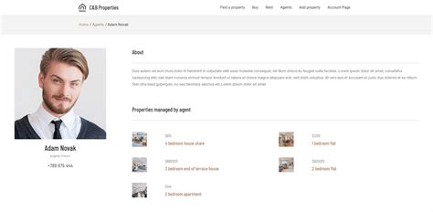 Creating Templates To Display Custom Posts In Wordpress Toolset