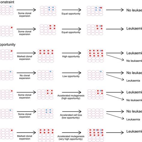 Linear And Branching Clonal Evolution A Linear Evolution Sequential Download Scientific