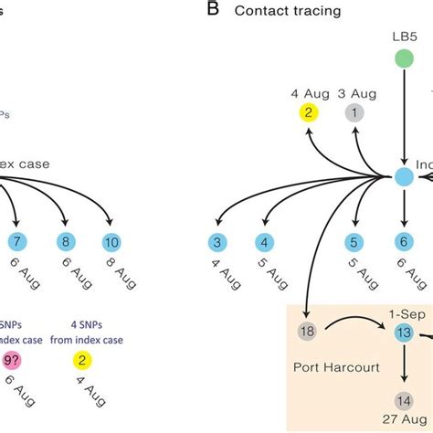 Transmission Tree A Transmission Reconstructed From Of Ebola Virus