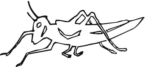 Grasshopper 13 Clipart Panda Free Clipart Images
