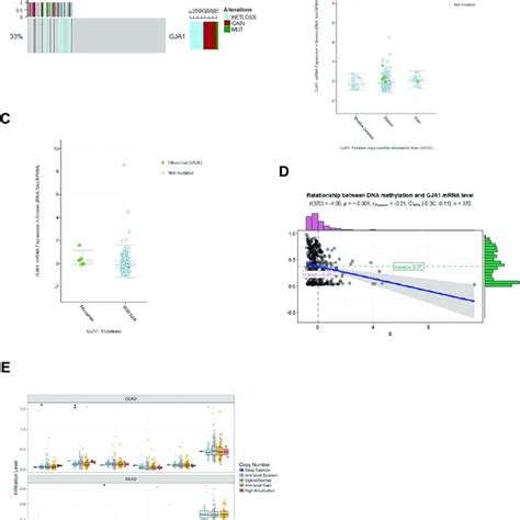 Genomic Alterations Of Gja1 Gene In Crc Tissue A Oncoprint Showed Download Scientific