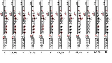 플룻 운지법 네이버 블로그