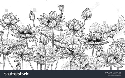 seamless horizontal pattern garden lotus flowers stock vector royalty