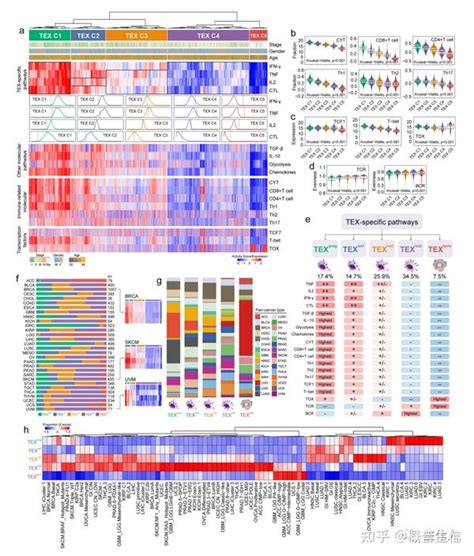 大家都关注的t细胞耗竭如何做生信分析？ 知乎