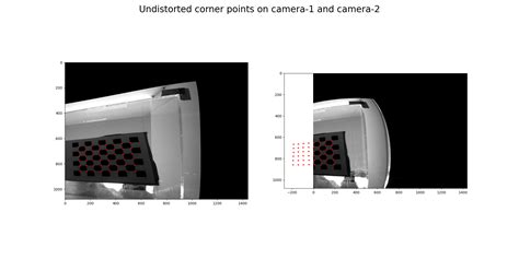 3d Deeplabcut Undistort Usage And Issues Imagesc Forum