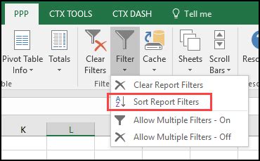 Pivot Table Report Filter Sort Macro Saves Time Excel Pivot Tables
