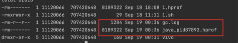 Jvm实战一： Dump文件的产生以及执行shell脚本 Xxheapdumppath Csdn博客