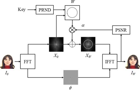 Block Diagram Of The Embedding Process Download Scientific Diagram