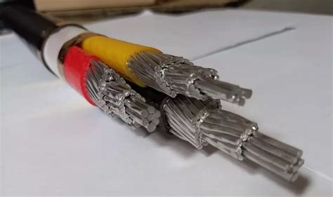 محصولات محمدرضا امیراحمدی آراد برندینگ