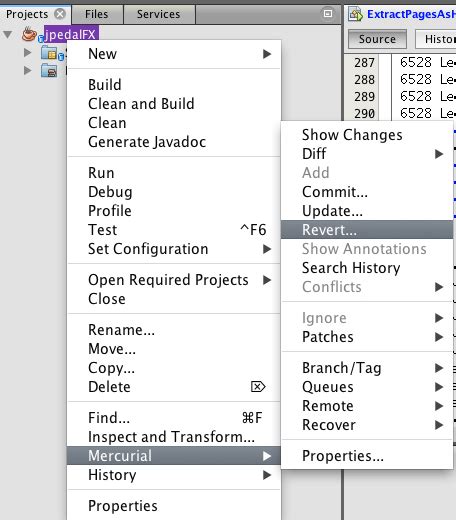 Netbeans Version Control Feature With Mercurial Support