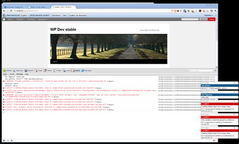 Php Console Mit Chrome Und Wordpress Bueltgede Byltgede