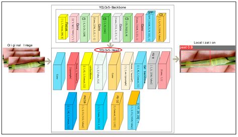 Pest Localization Using Yolov5 And Classification Based On Quantum Convolutional Network
