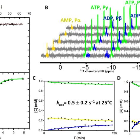 Odinak Substrate Binding Affinity And Enzyme Kinetics A Itc Binding