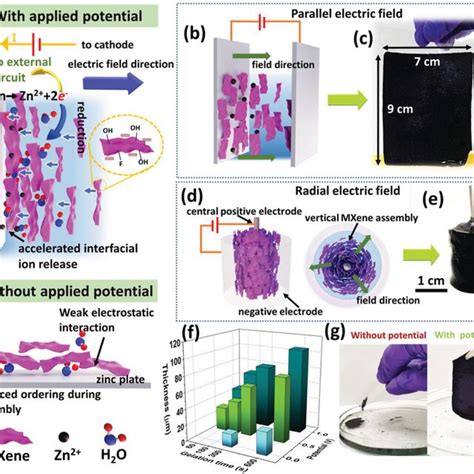 Electric Field Guided Fast And Oriented Assembly Of Mxene Into Scalable