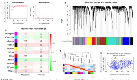 Figure 1 From Transcriptome Based Network Analysis Unveils Eight Immune