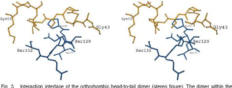 Figure 3 From Structural Evidence For Variable Oligomerization Of The N