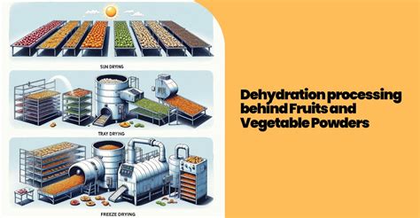 Guide To Fruit And Vegetable Powder Manufacturing Solutionbuggy
