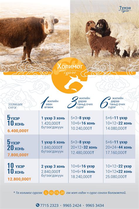 ТҮМЭН СҮРЭГ 💁‍♂️ТА ӨӨРИЙН ЭЗЭМШЛИЙН ҮХЭР БОЛОН ХОНЬТОЙ