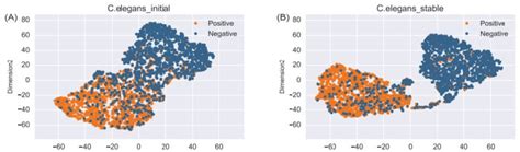 T Sne Visualization Of The Celegans Dataset In A Two Dimensional Download Scientific Diagram