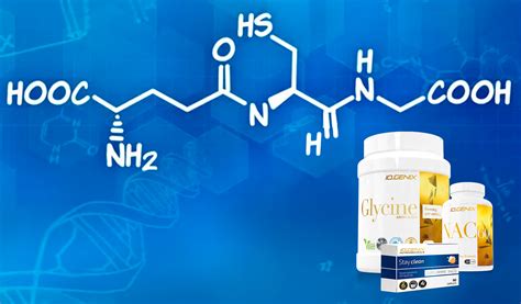 Entendiendo El Glutatión El Antioxidante Maestro Blog Iogenix