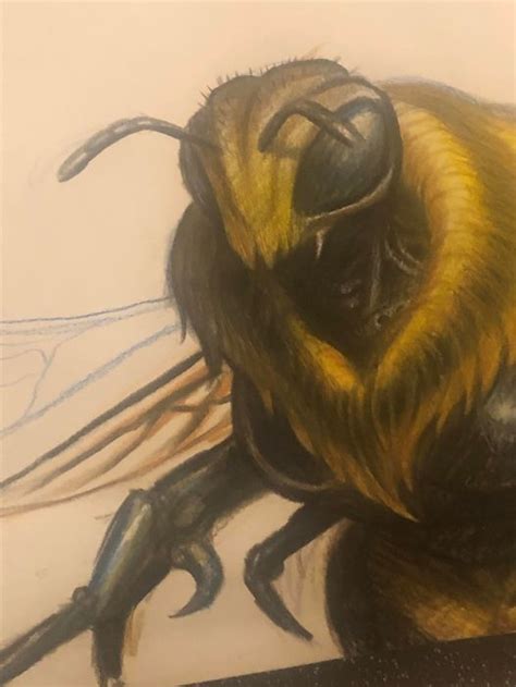 The Sci Fi Bee Costume Part 1