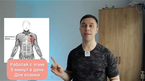 Самое эффективное упражнение от сутулости в 2024 году Youtube