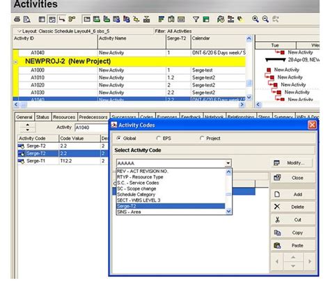 P6 Activity Code Cleanup Utility Software
